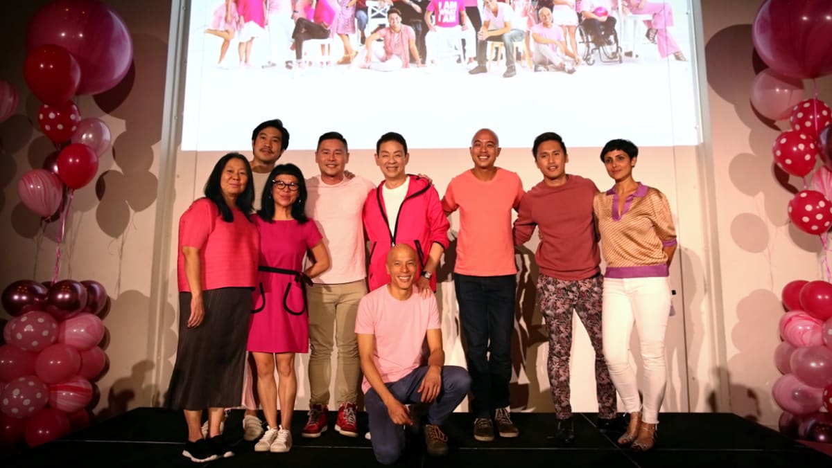 Pink Dot to mark 10th year with more events; but rally organisers ...
