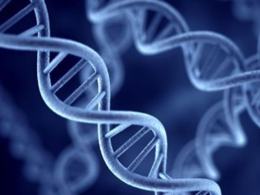 Scientists create first life form with artificial DNA - TODAY