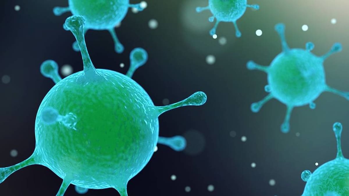 5 unexpectedly germy things you touch every day - CNA