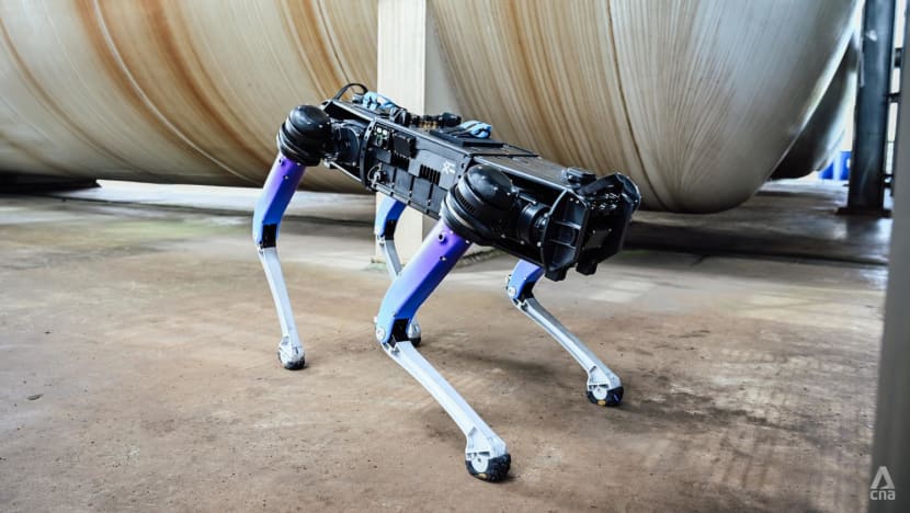 Home Team’s robotic dog could respond to chemical incidents, support ...