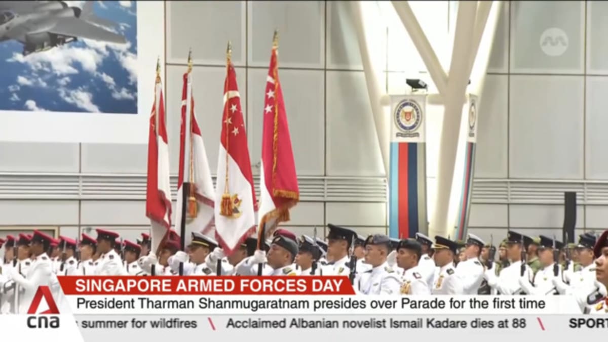 SAF Day: Commitment of Government, all Singaporeans make us united in defence, says Ng Eng Hen - CNA