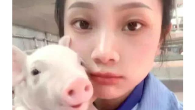 “没有复杂人际关系” 95后美女大学生宁当猪保姆 - 8world