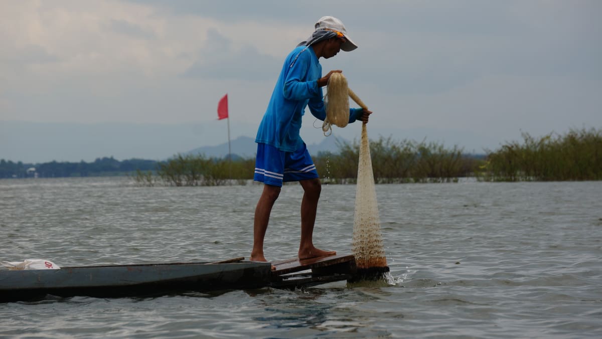 We can eat our fish and fight climate change too - TODAY