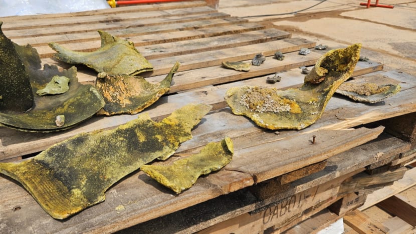 In pictures: SAF detonates WWII bomb in Upper Bukit Timah - CNA