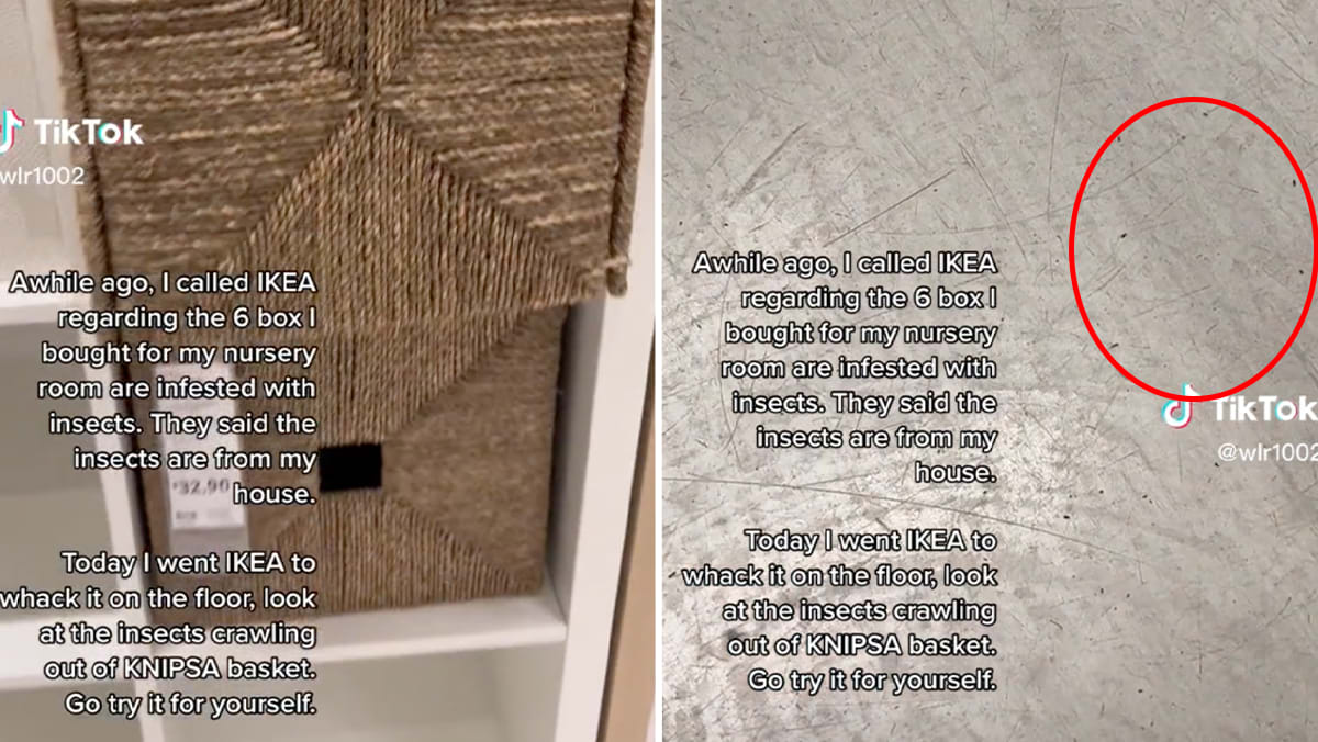 Ikea Singapore under fire for selling 'insect infested' basket - TODAY
