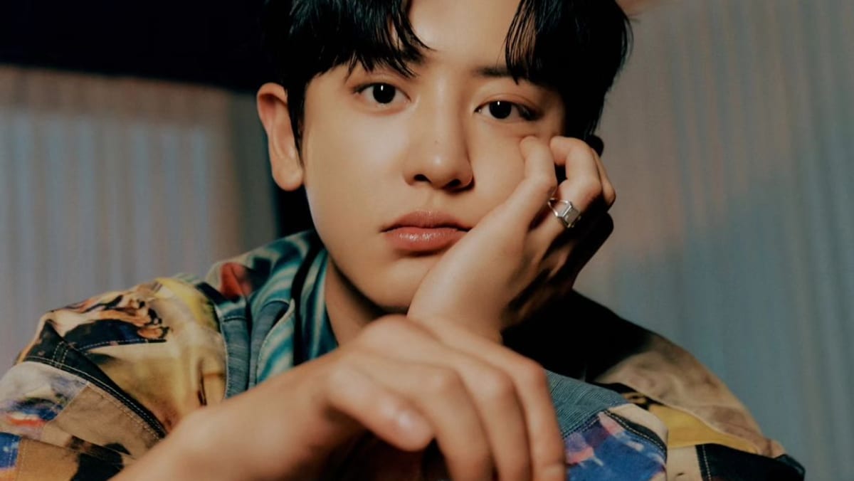 EXO’s Chanyeol to join cast of Netflix series The Frog - CNA Lifestyle