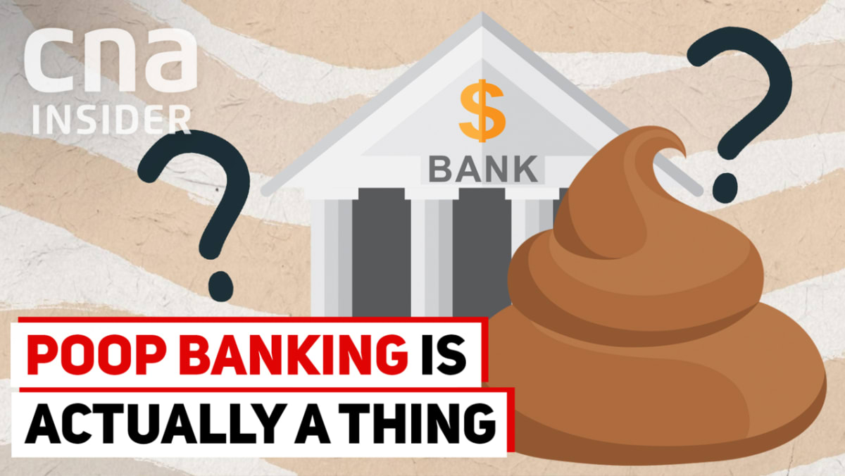 Bank your poop now - to fix future gut health woes? - CNA