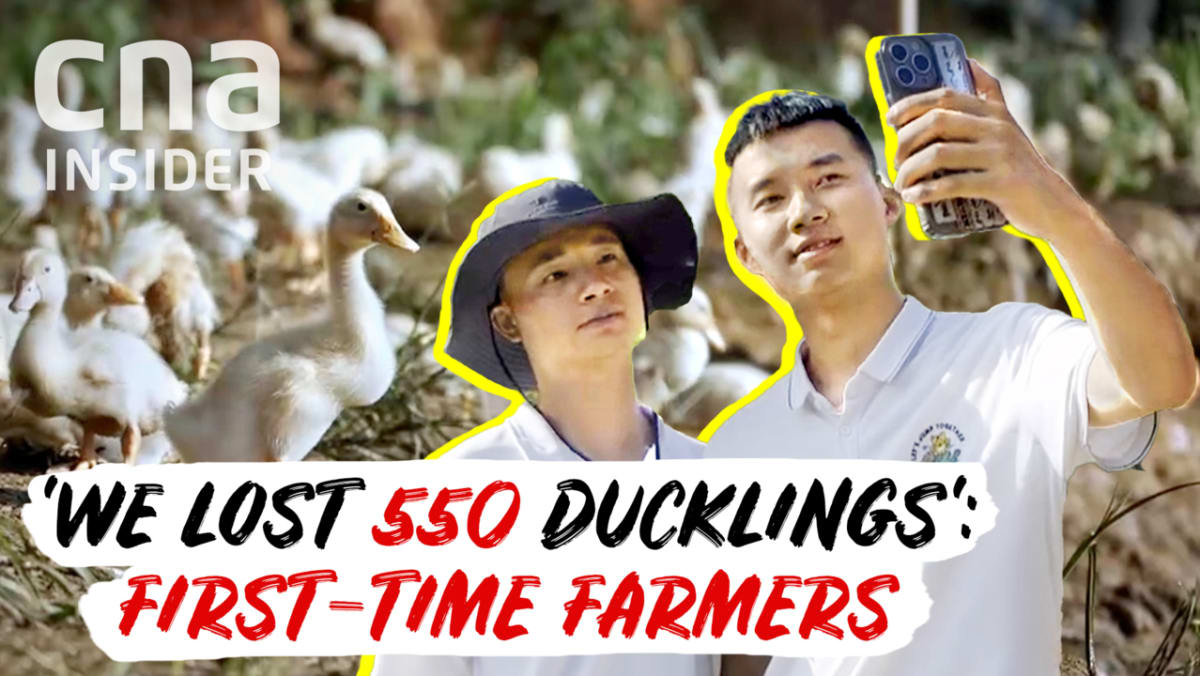 For China’s unemployed graduates, is rural life the answer to jobless ...