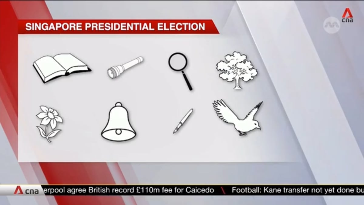 Eight suggested symbols for Presidential Election candidates | Video - CNA
