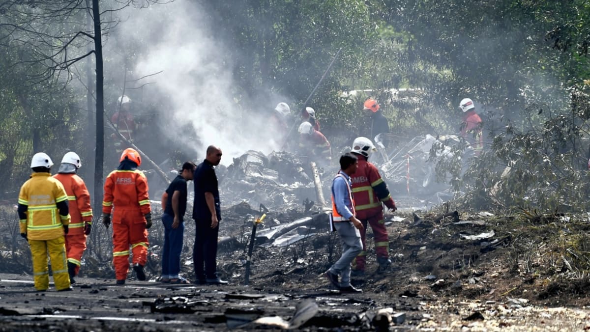 Malaysia plane crash: Private jet 'veered off' flight path, seen ...