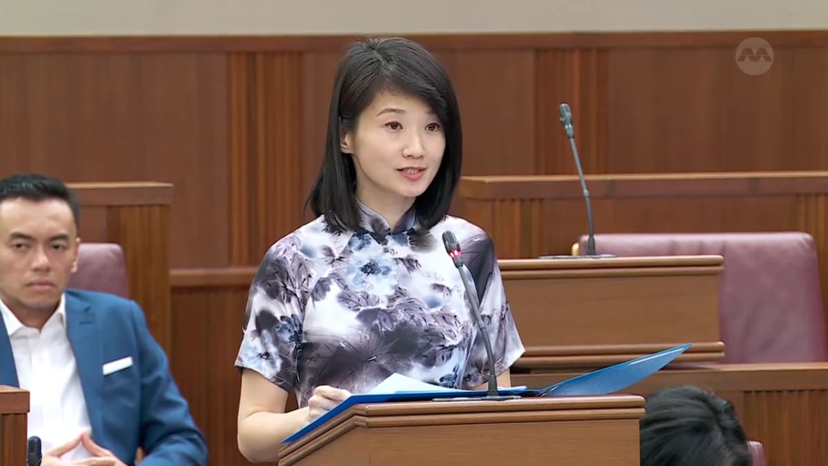 Sun Xueling on Registrar's Empowerment clause as a default option - CNA