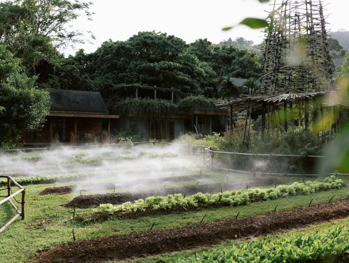 Little Bukit Farm, an organic farm in Phuket, Thailand - CNA Luxury