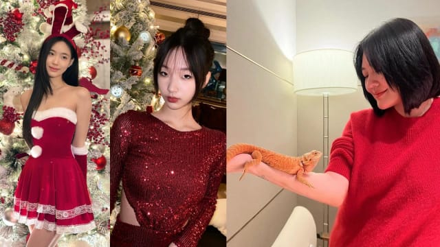 晒蜥蜴照PK爱女性感照 小S：新闻没登，我就息影！ - vibes by 8world