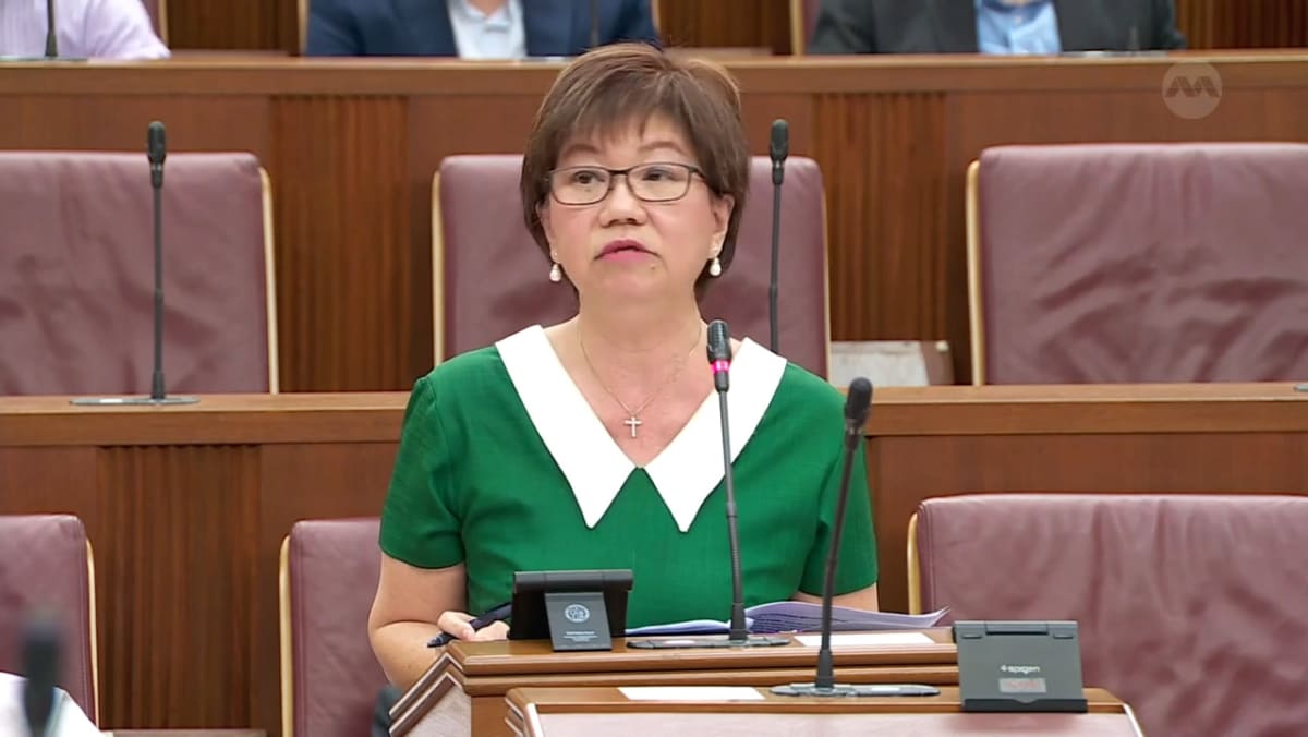 Denise Phua On Public Housing Motions Cna