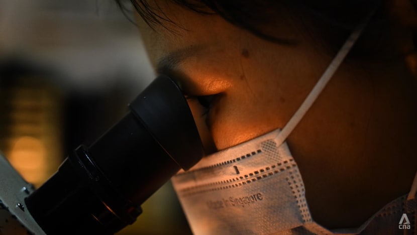 How the Singapore Mint makes commemorative coins - CNA