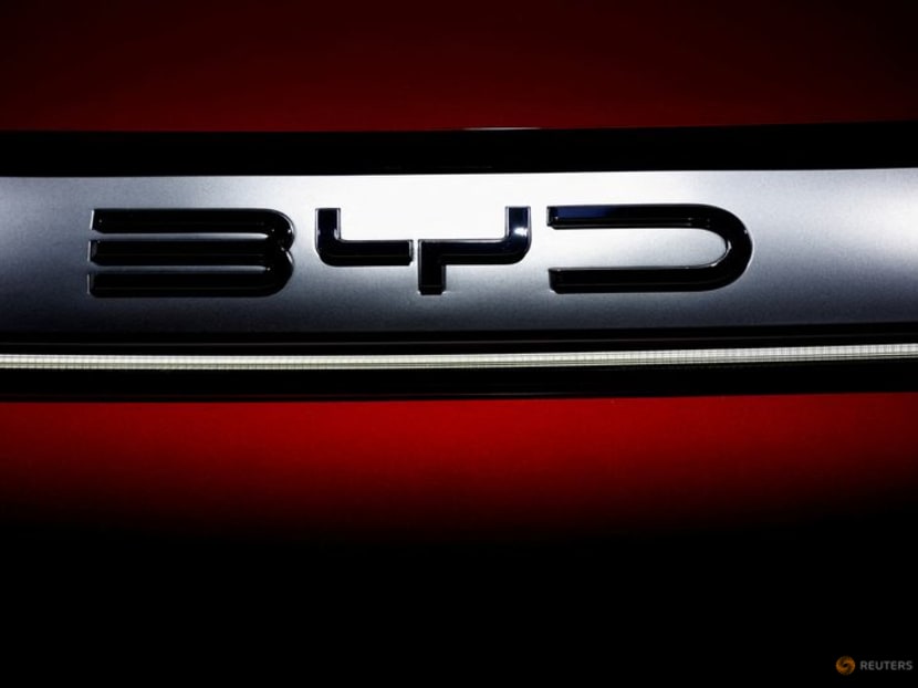 BYD flags huge quarterly profit jump as China sales surge past Tesla ...