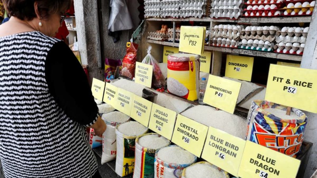 Philippines may extend reduced import tariffs on rice, other ...