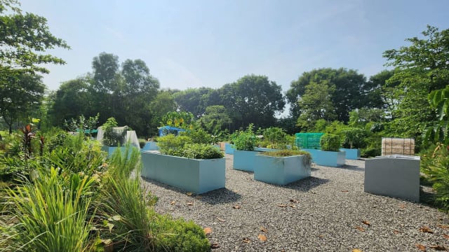 13座公园开放170多个花床 今起供公众申请租用 - 8world