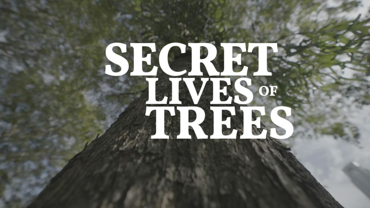 Secret Lives Of Trees - CNA