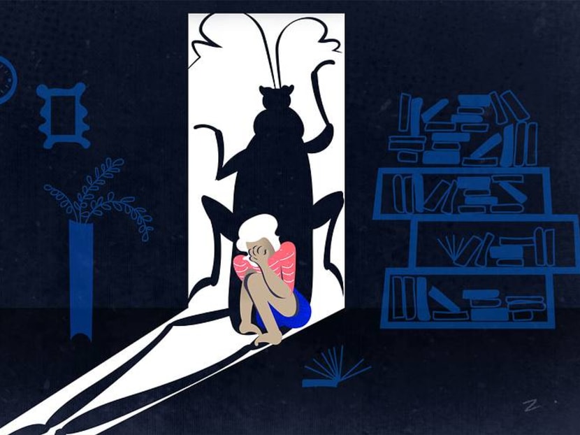 Cockroach phobia: Why do some people have it and others don't? - CNA ...