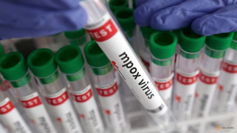 Mpox a 'troublesome' but manageable virus; no need for masks yet: Ong ...