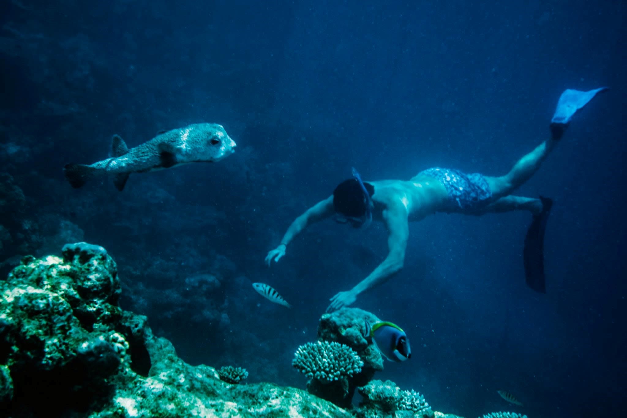 Swim In A Private Ocean Or Go On A US$10,000 Train Ride? Russell Ong's ...