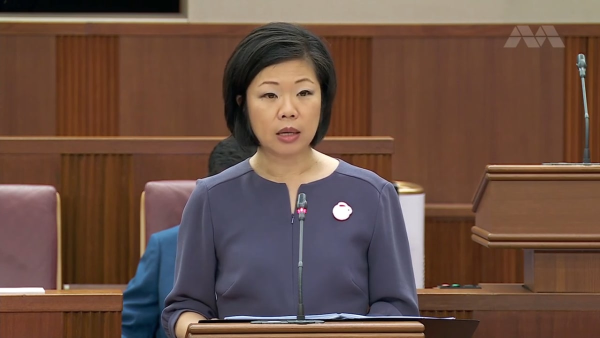 Sim Ann responds to clarifications sought on Housing and Development ...
