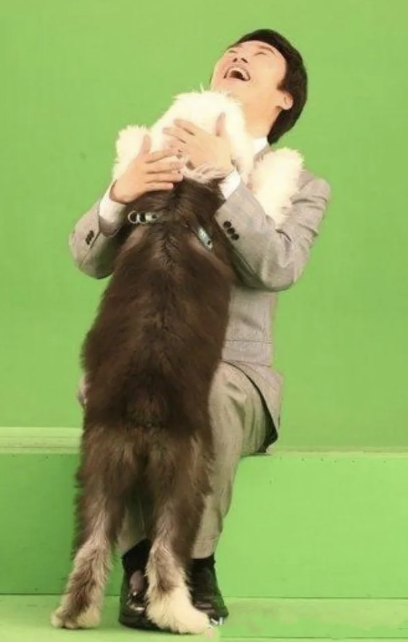 Fei Yu-Ching Donates S$175K To Taiwan Animal Rescue Organisations To ...