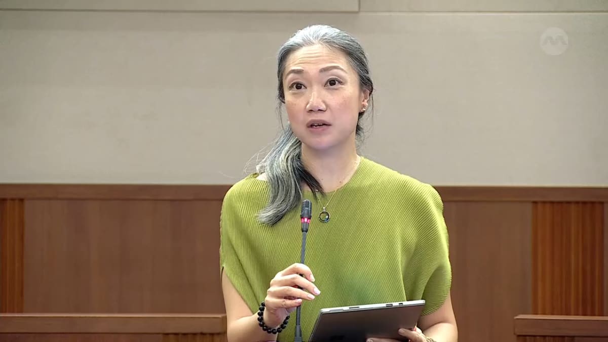Committee of Supply 2024 debate, Day 1: Carrie Tan on creating a family ...