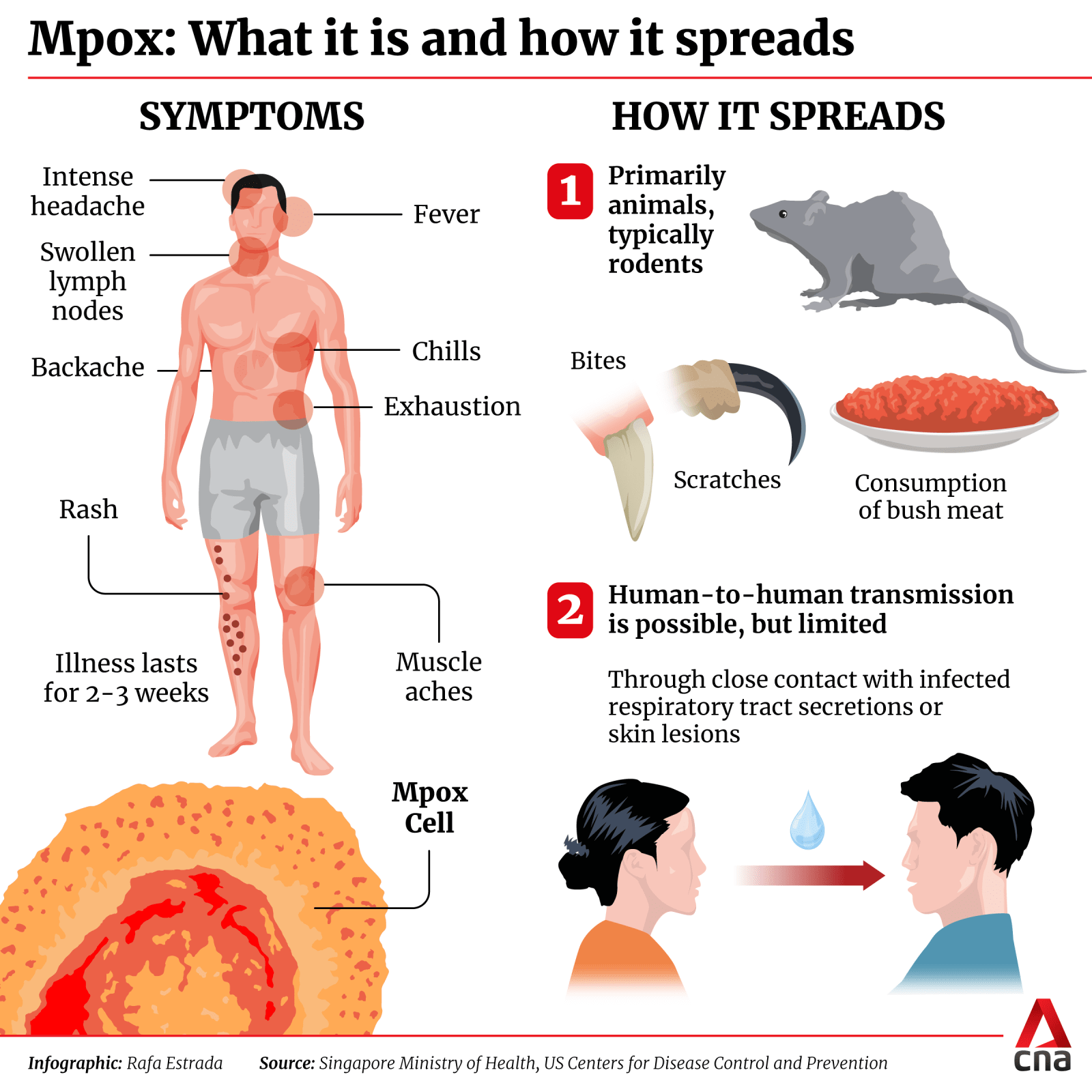CNA Explains: Who's at risk of mpox, and how worried should you be? - CNA Lifestyle