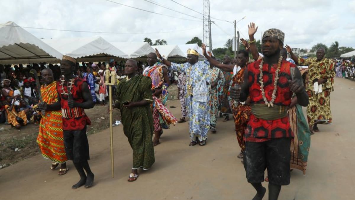 Dreams of Rio animate Ivory Coast's Popo Carnival - CNA