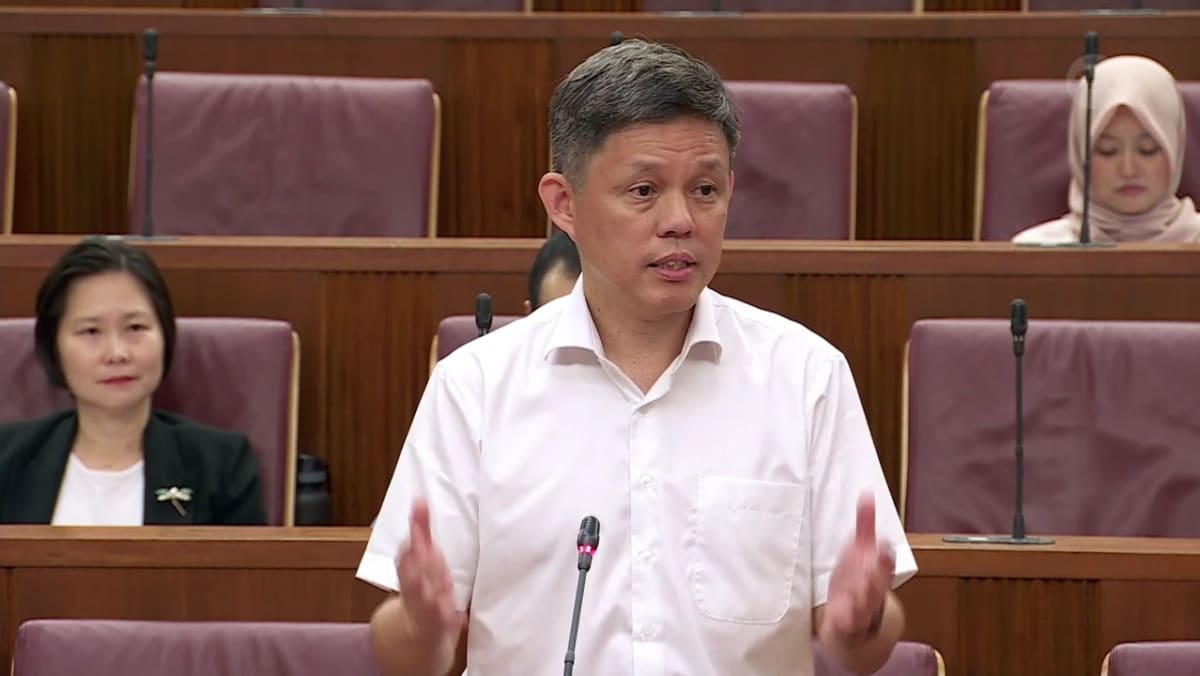 Chan Chun Sing on ensuring DSA selection process is rigorous, objective and inclusive - CNA
