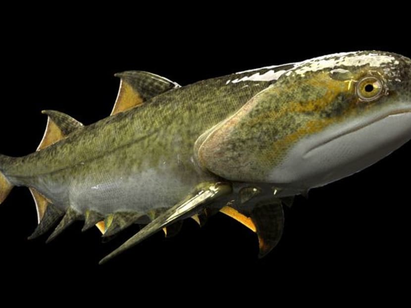 Chinese fish fossils take a bite out of mystery of origin of jaws - TODAY