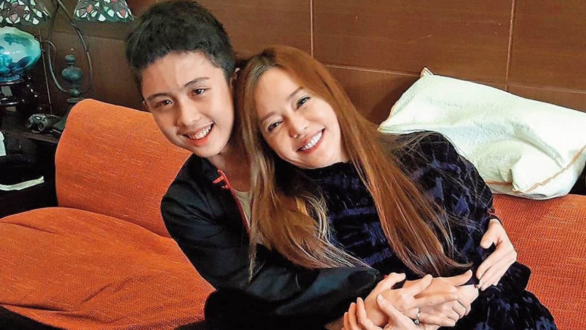 Sun Peng, Di Ying’s son faces new charge - 8days