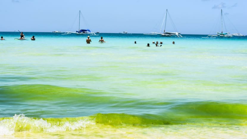 Local tears, rotting filth and a green tide: How Boracay will get clean ...