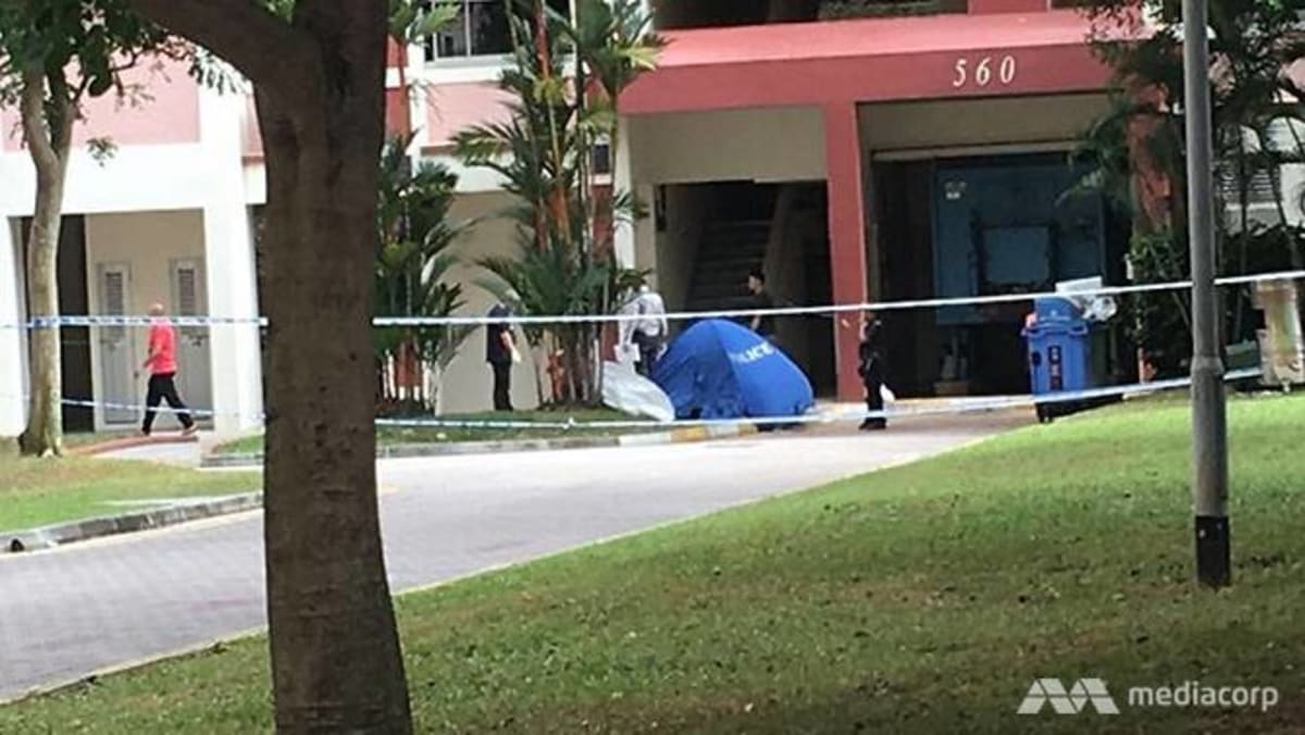 Father, daughter found dead at Pasir Ris St 51 - TODAY