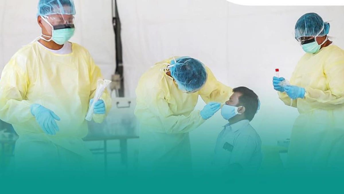 You Can Now Earn Up To $3,800 As A Covid-19 Test Swabber - TODAY