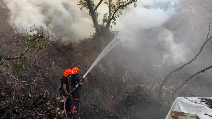 50 firefighters battling blaze at Sungei Tengah - CNA