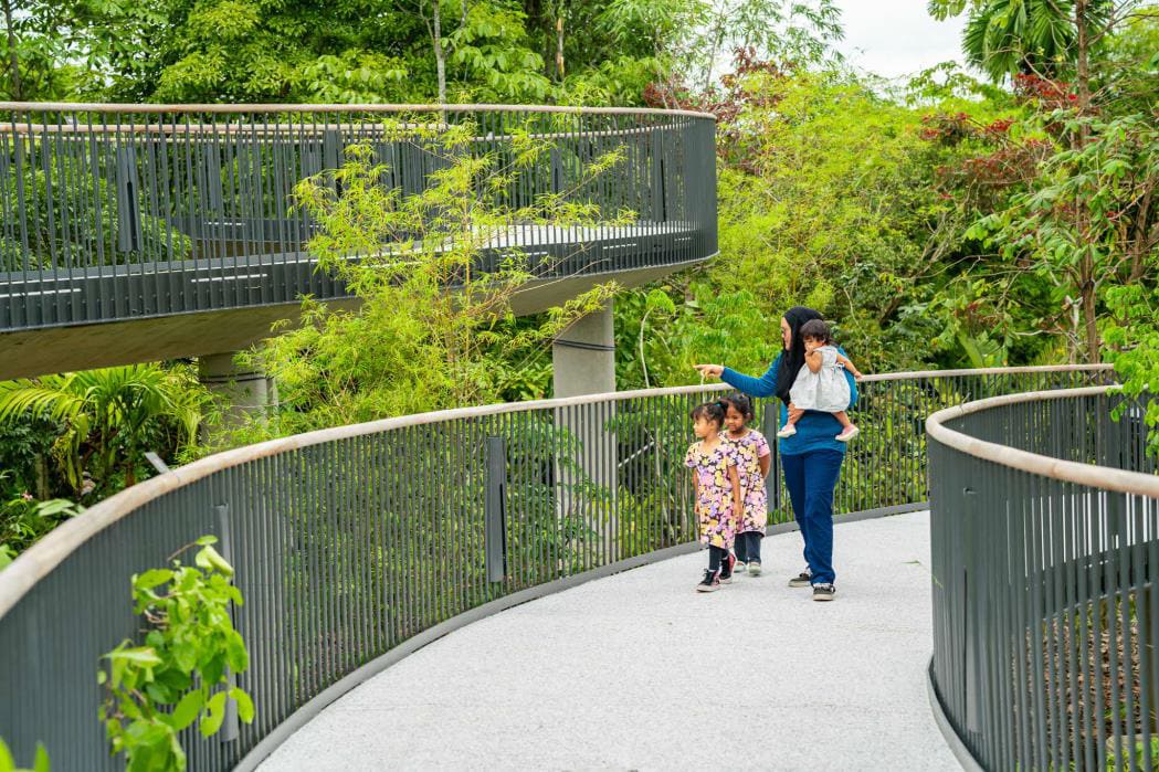 New 200m long pedestrian bridge opens at Singapore Botanic Gardens - CNA