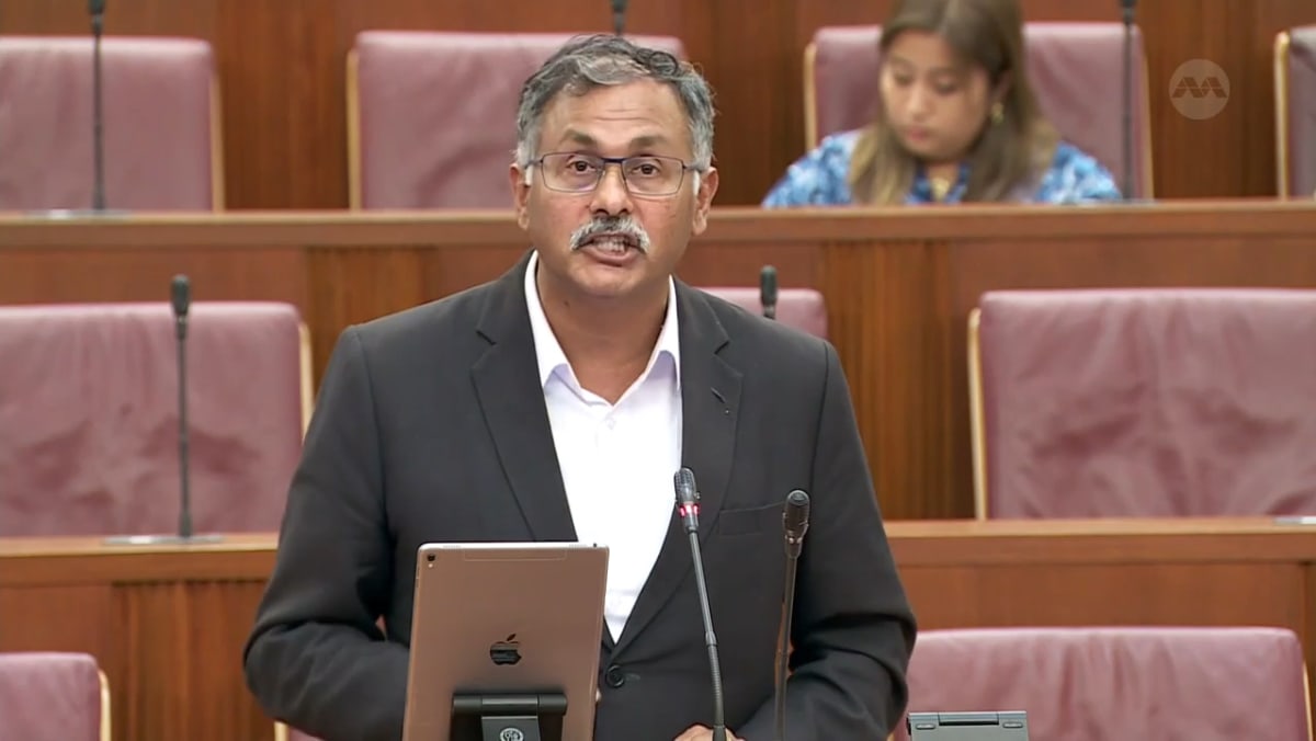 Murali Pillai on public housing motions - CNA