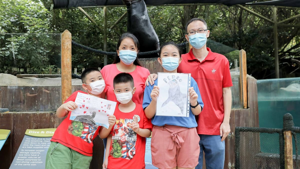 Children may ‘befriend’ zoo animals under programme by Wildlife ...