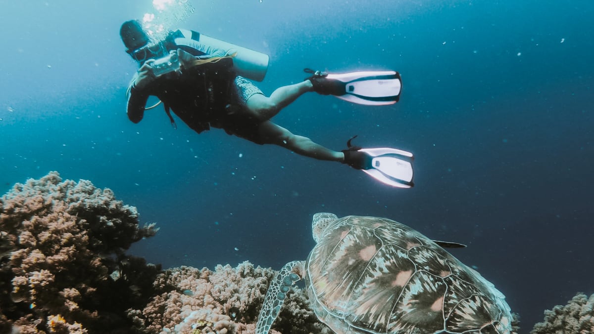 Permintaan kegiatan selam skuba dijangka lebih 30% kadar sebelum ...