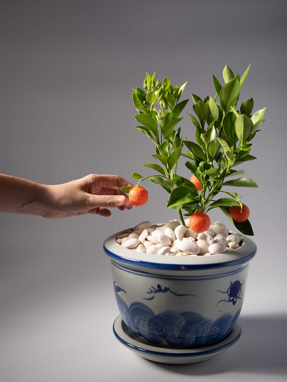 Thai dining: Book a table at these 7 new restaurants on your next trip ...