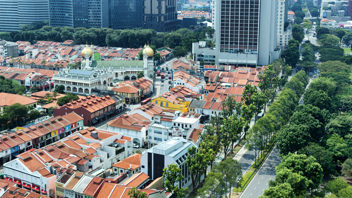 Buying property in Singapore? Why Rochor is a district to watch - CNA ...