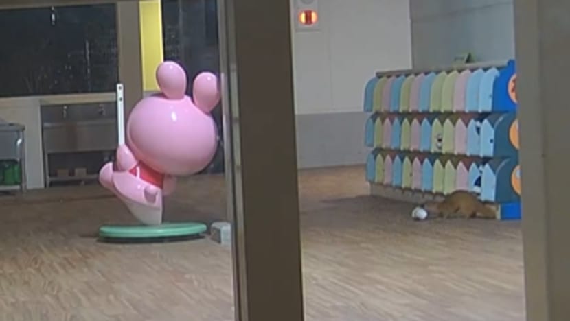 Stolen shoe mystery solved at Japanese kindergarten when security ...