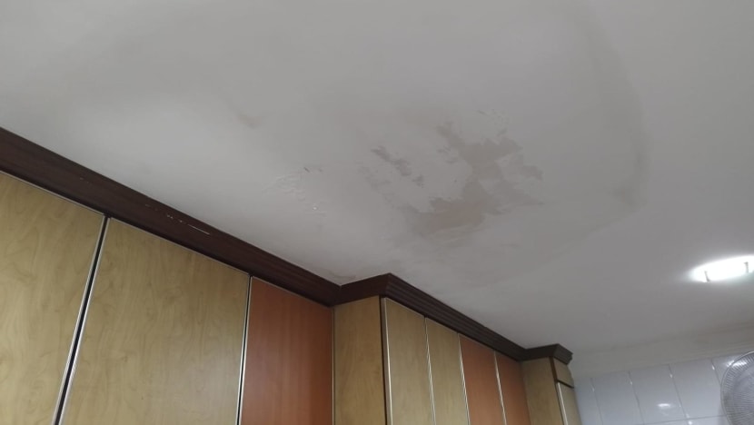Tampines residents complain of ceiling leaks, mould; HDB says solar ...