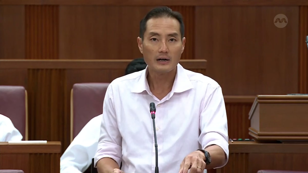 Tan Kiat How on commercial cat breeding - CNA