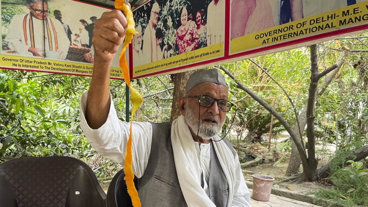 India's mango man, father of 300 varieties - TODAY