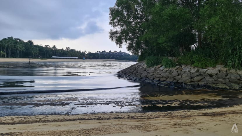 Oil spill reaches Sentosa, East Coast Park and other areas; some ...