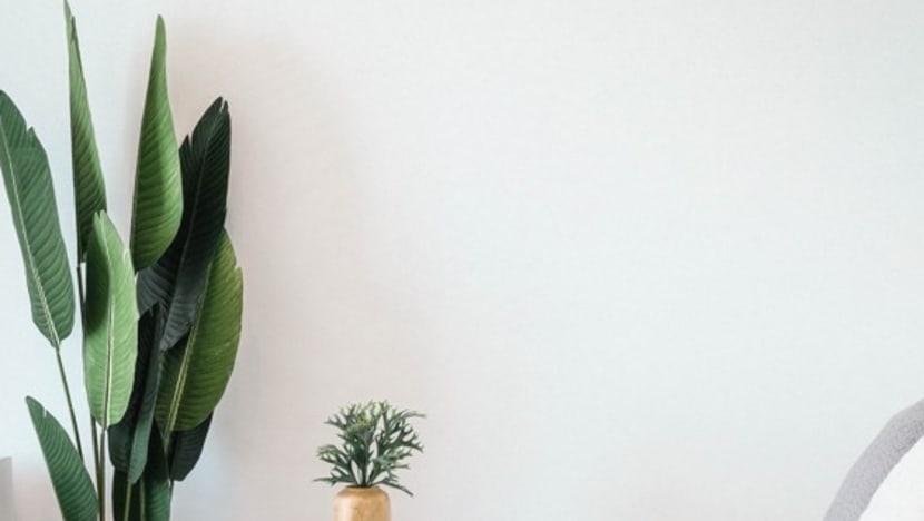 8 warna pilihan cat rumah ini beri kesan pada aura anda - BERITA Mediacorp